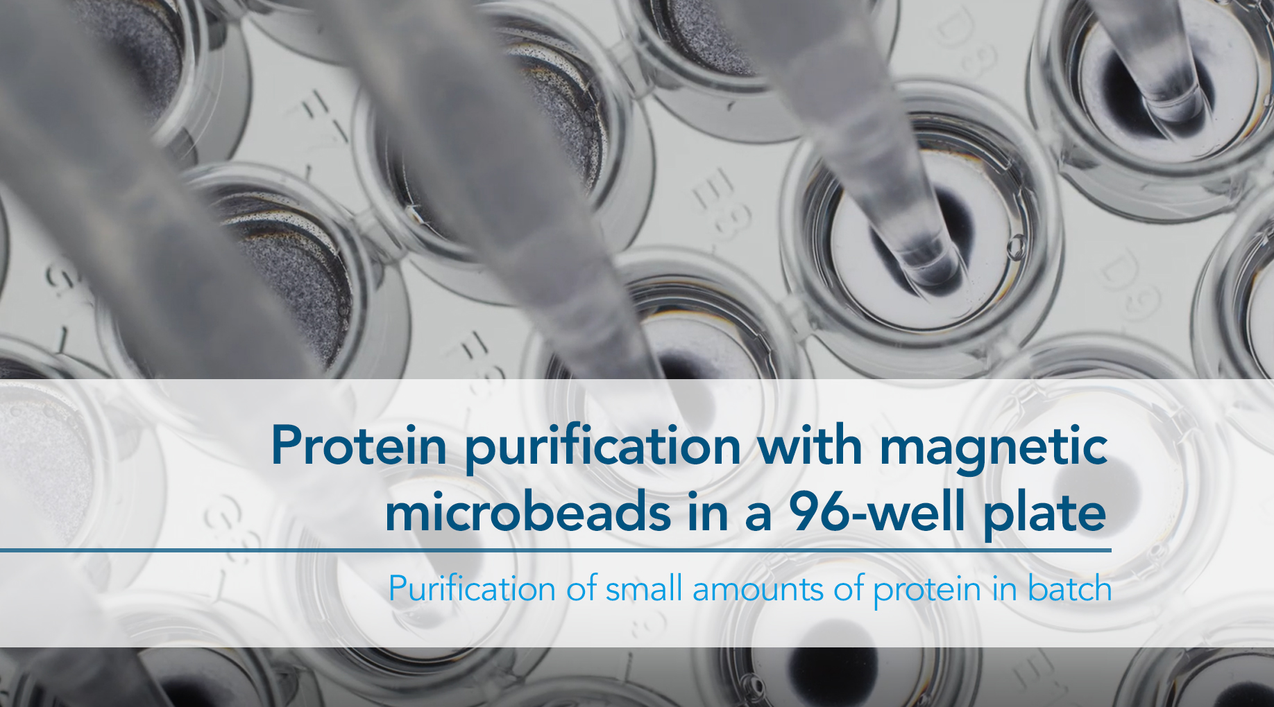 Magnetic beads: MagStrep "type3" Strep-Tactin®