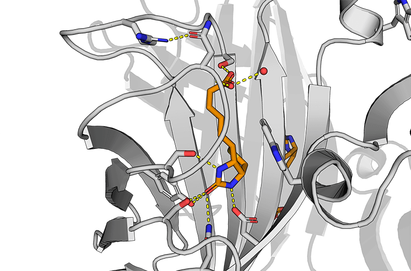 Strep-tag® technology - One affinity tag for all applications
