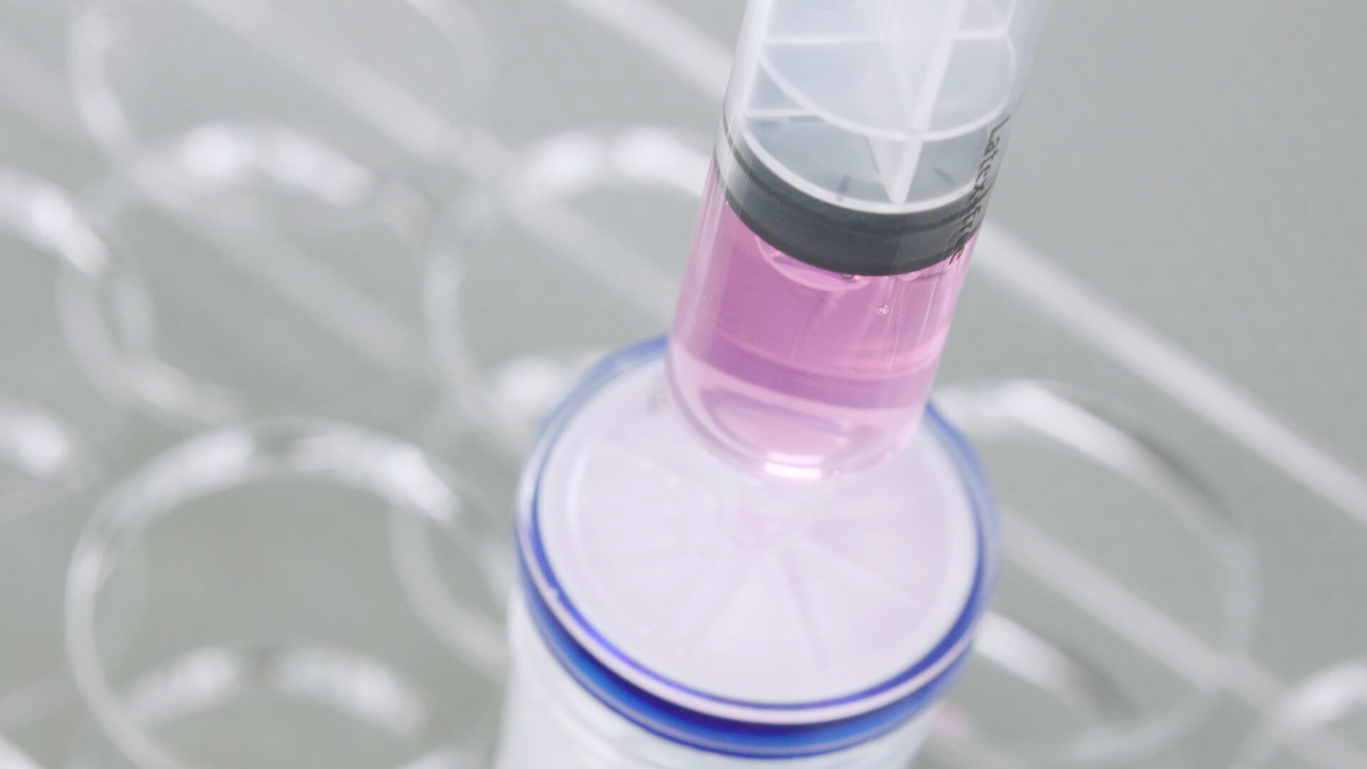 Strep-tag® application examples