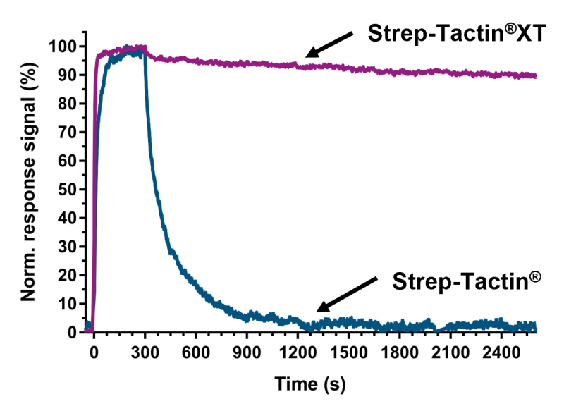 High affinity purification with Strep-Tactin®XT