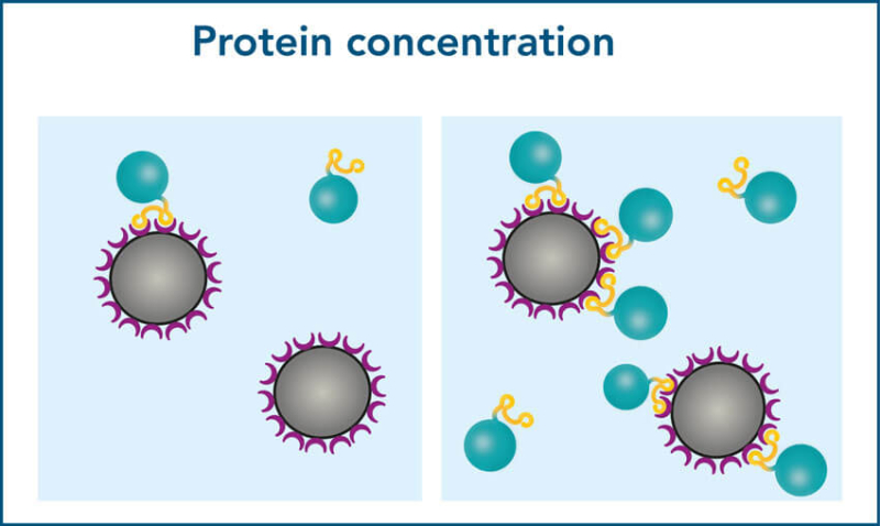 Magnetic beads purification