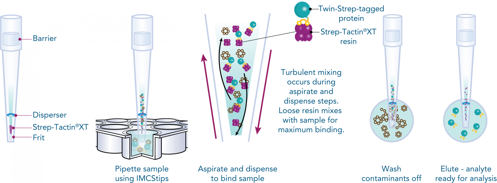 High-throughput purification