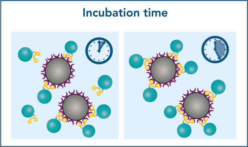 Magnetic beads purification