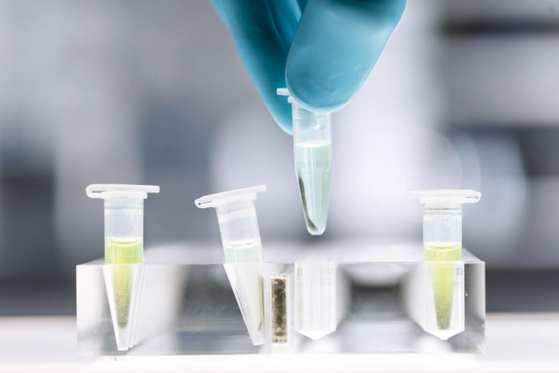 Strep-tag® application examples