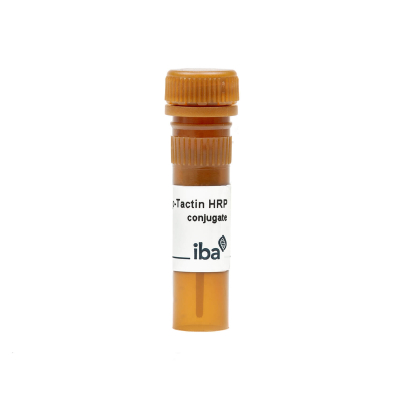 Protein detection