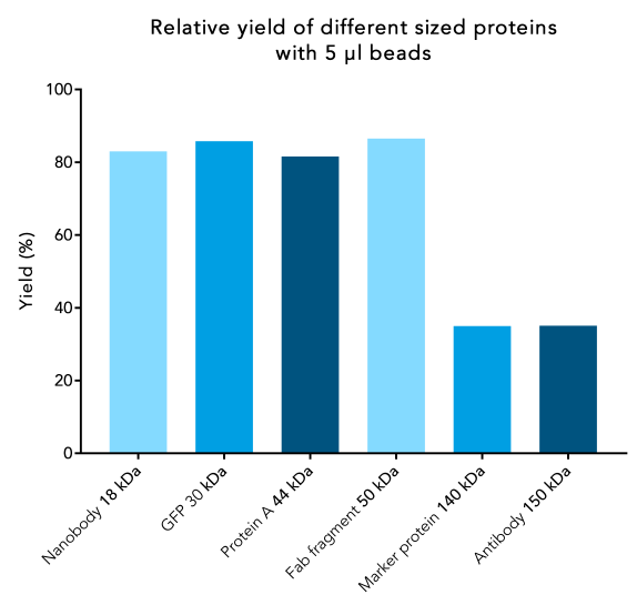 Magnetic beads purification