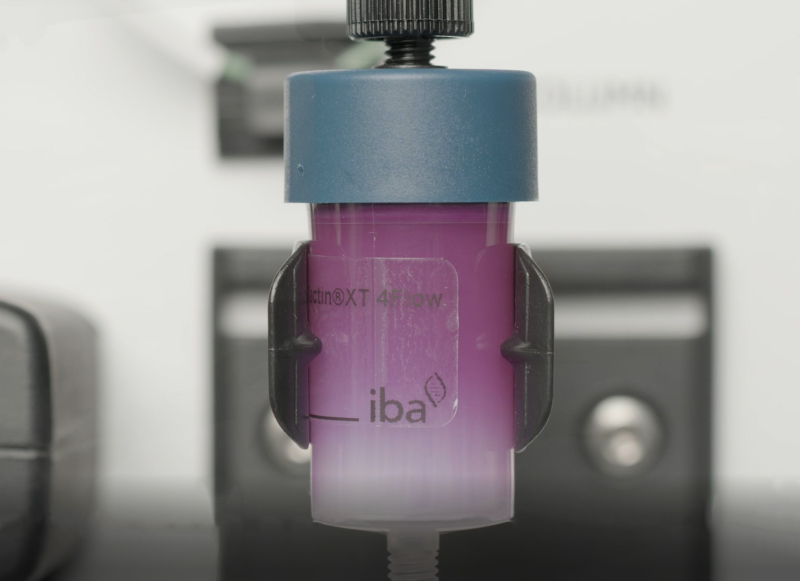 Strep-tag® application examples