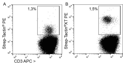 Flow cytometry (FACS) with Strep-tag®